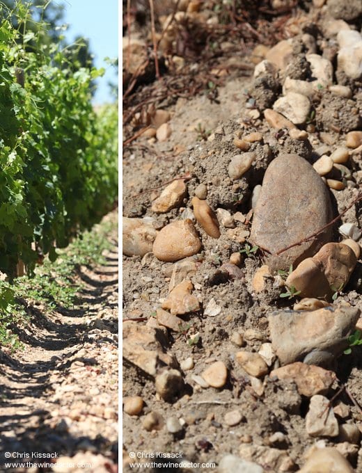 Château La Grave à Pomerol: Vineyards & Wines | Winedoctor