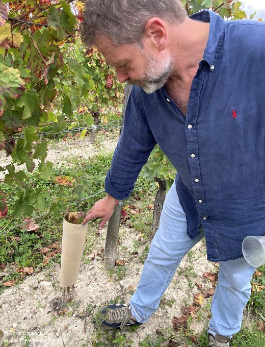 Jean-Maurice Raffault: Vineyards | Winedoctor